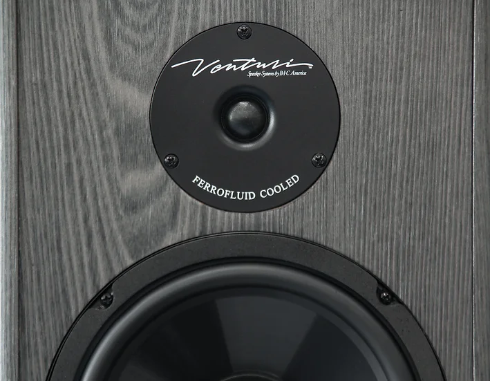 BIC America Venturi DV62si Bookshelf Speakers